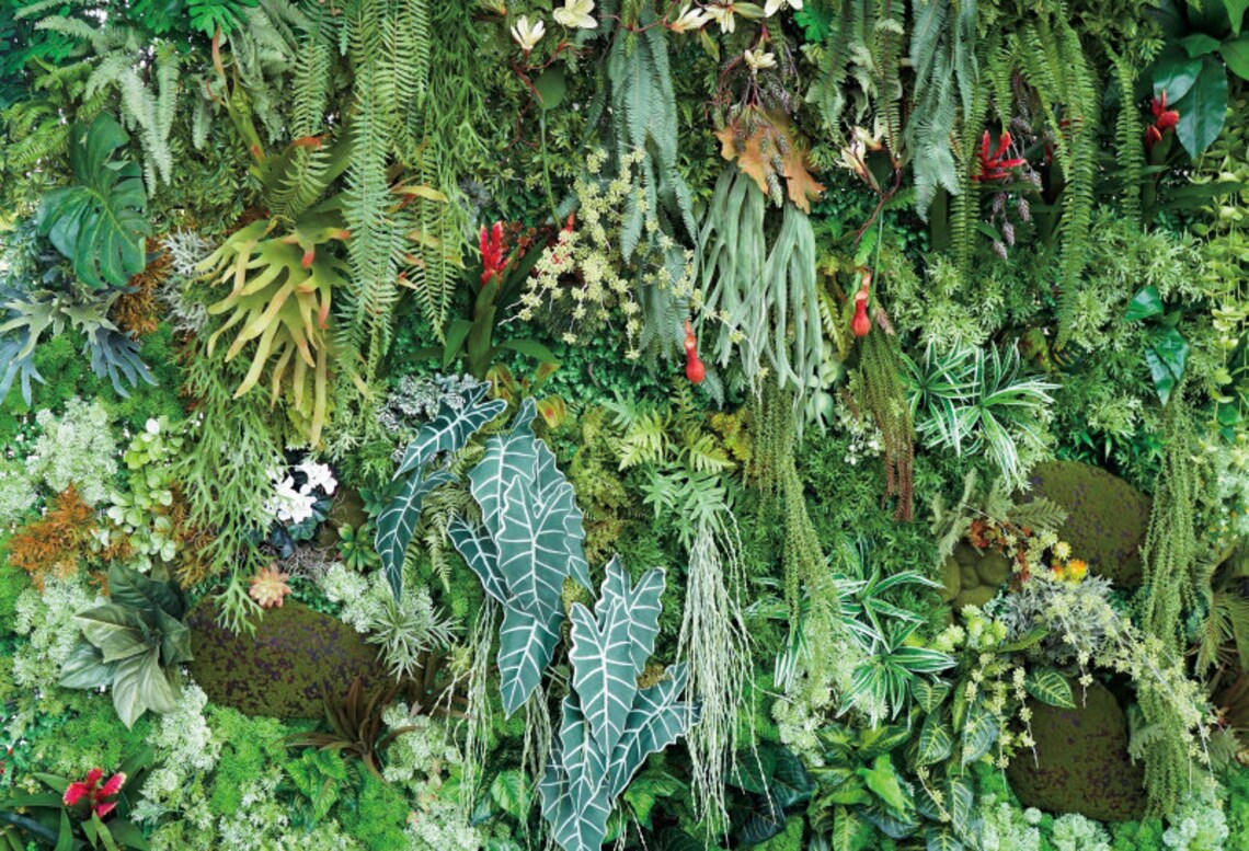 Tropical Forest Plant Photography Backdropgreen Leaves Wall | Etsy