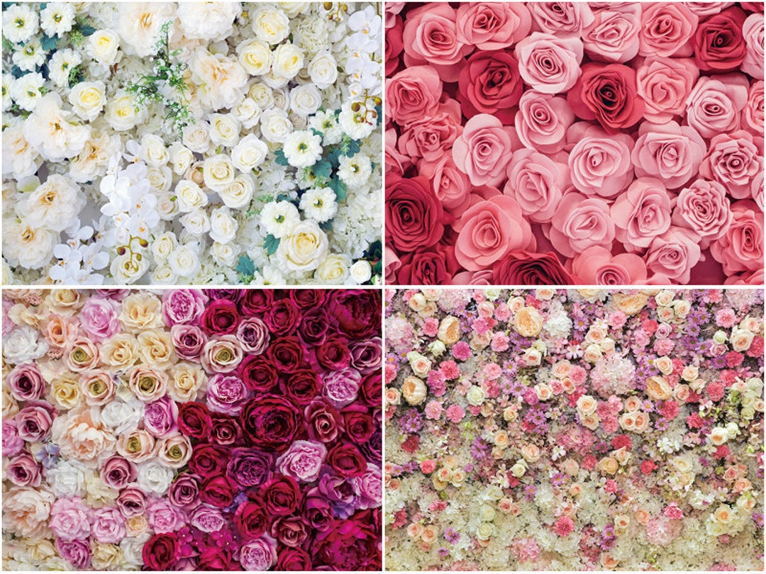 Colorful Rose Flower Wall Photography Background Wedding Party Backdrop ...