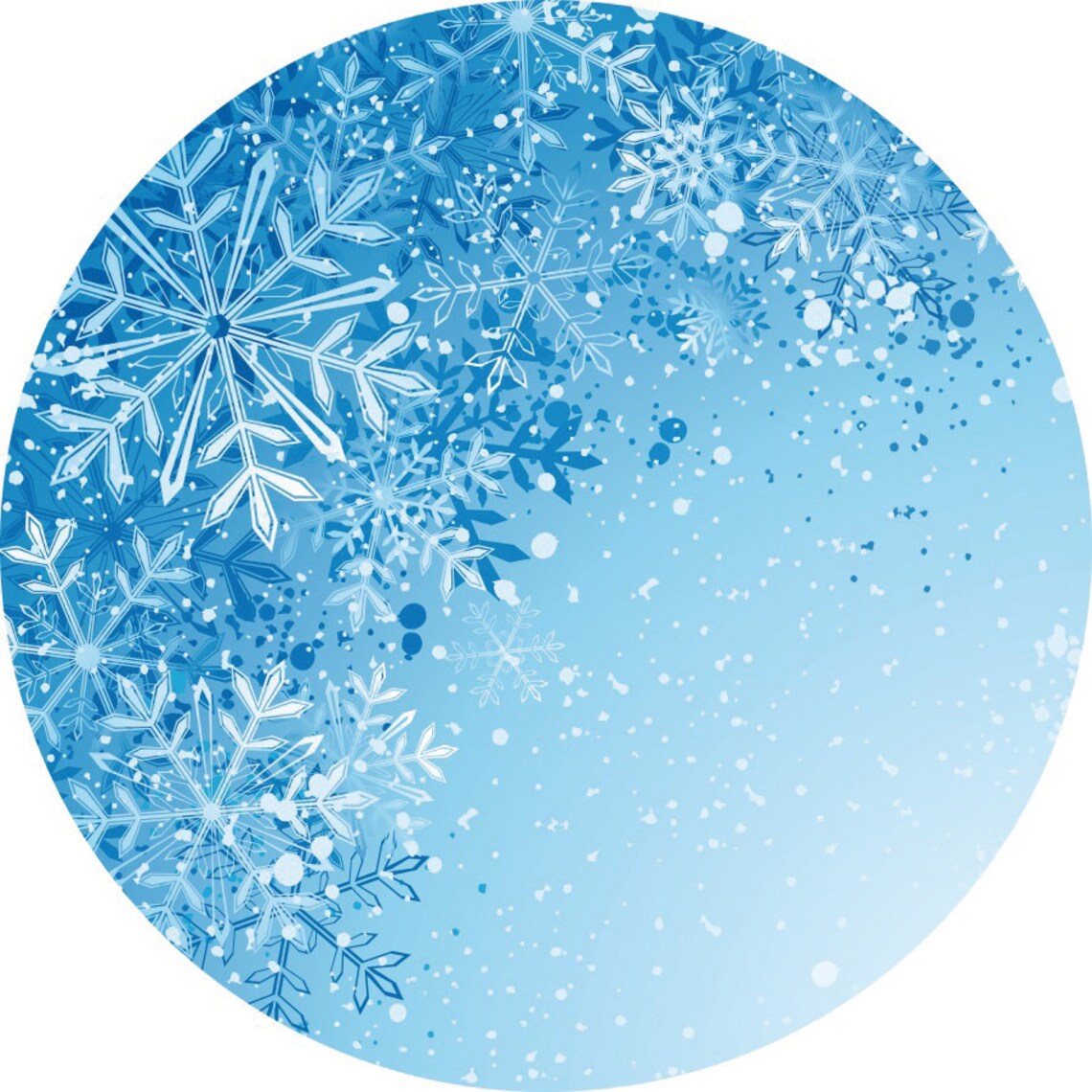 Round Snowflake Frozen Photography Backdropwinter Snow Kids - Etsy