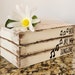 Book Stack Decor - Etsy