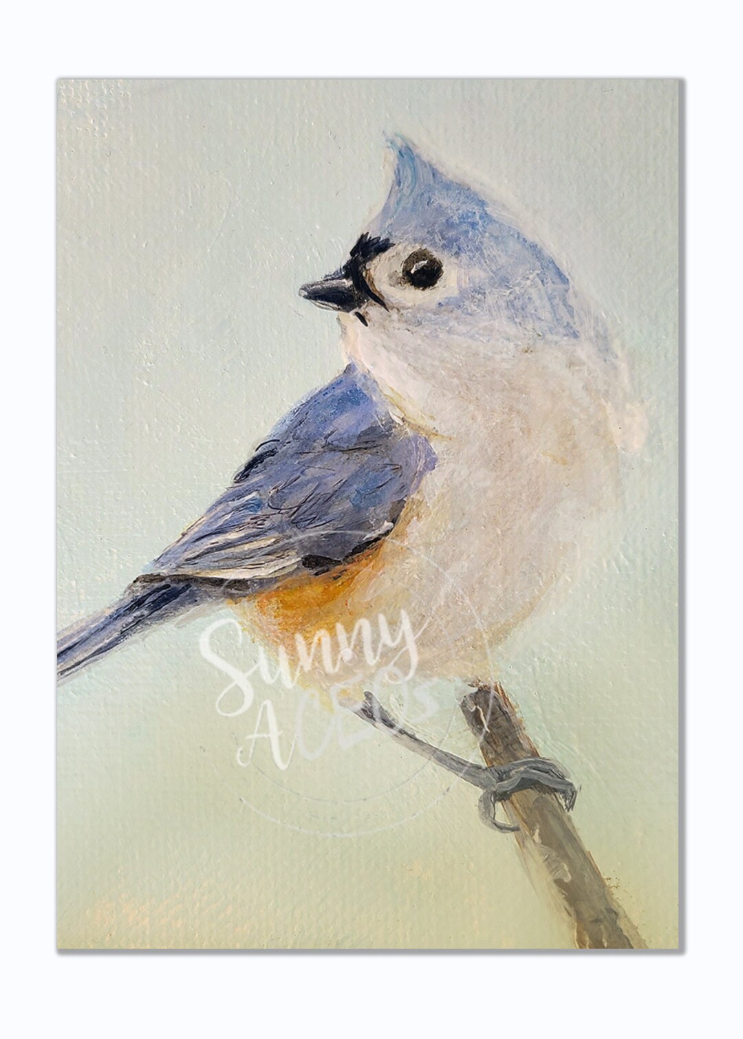 ACEO Bird Art Print Tufted Titmouse Bird My Original Painting Bird ...