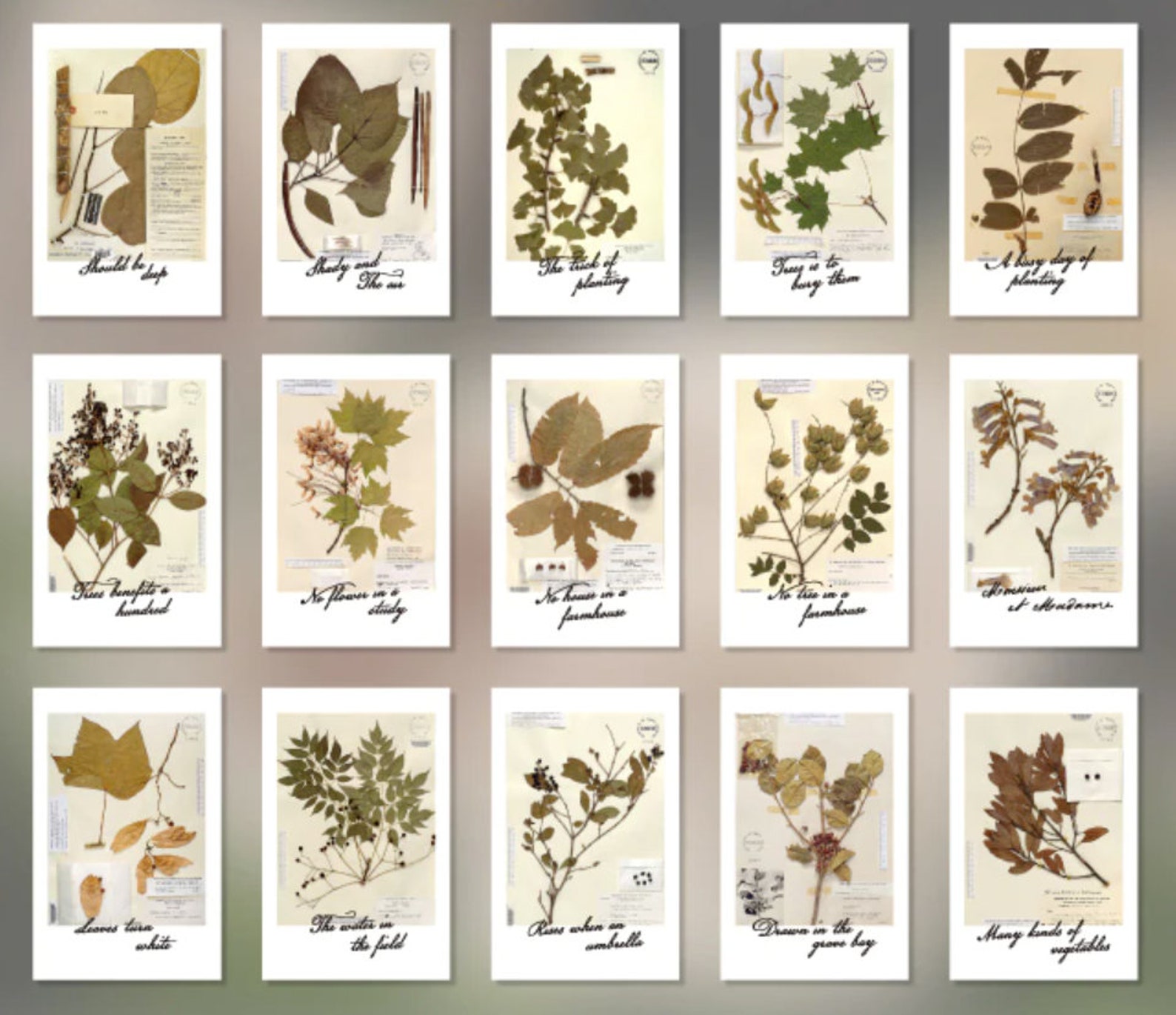 30 Nature Vintage Stamp Stickers Set for Journaling and - Etsy