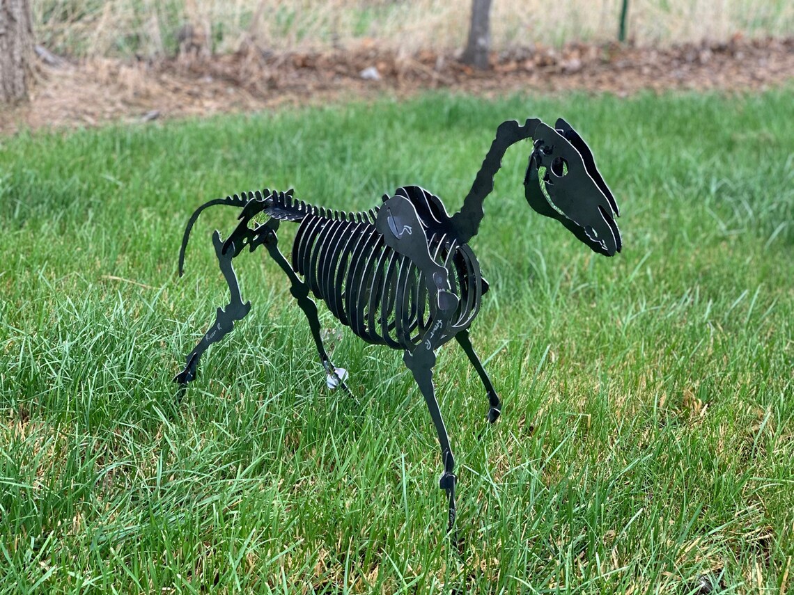 3D Horse Skeleton Dxf - Plasma Cutting File - Marcus Designs LLC ...