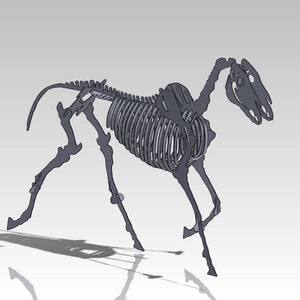 3D Horse Skeleton Dxf - Plasma Cutting File - Marcus Designs LLC ...