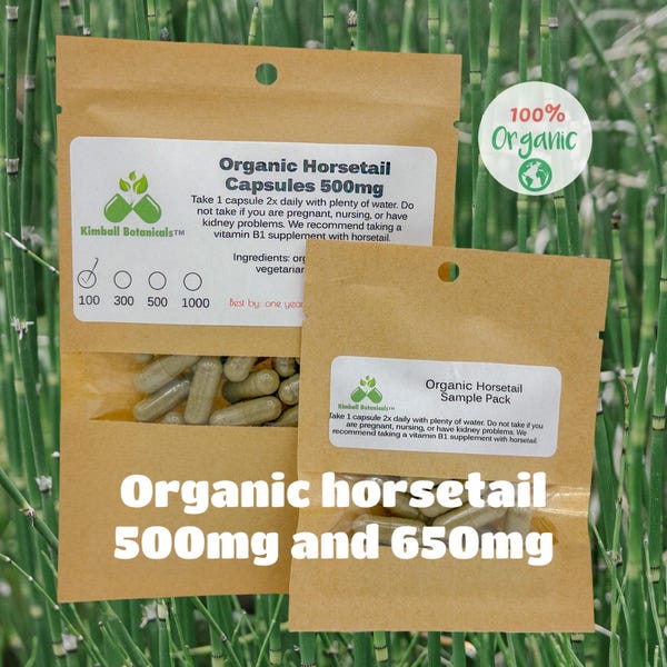 Horsetail - Etsy