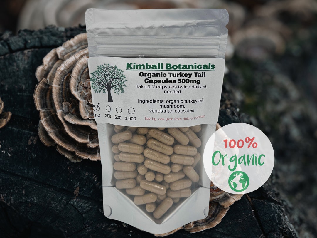 Organic Turkey Tail Extract (trametes Versicolor) Mushroom 500mg ...