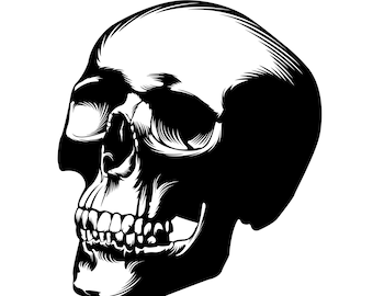 Bear Skull Vector Image Ai PDF SVG EPS Jpg Etching - Etsy