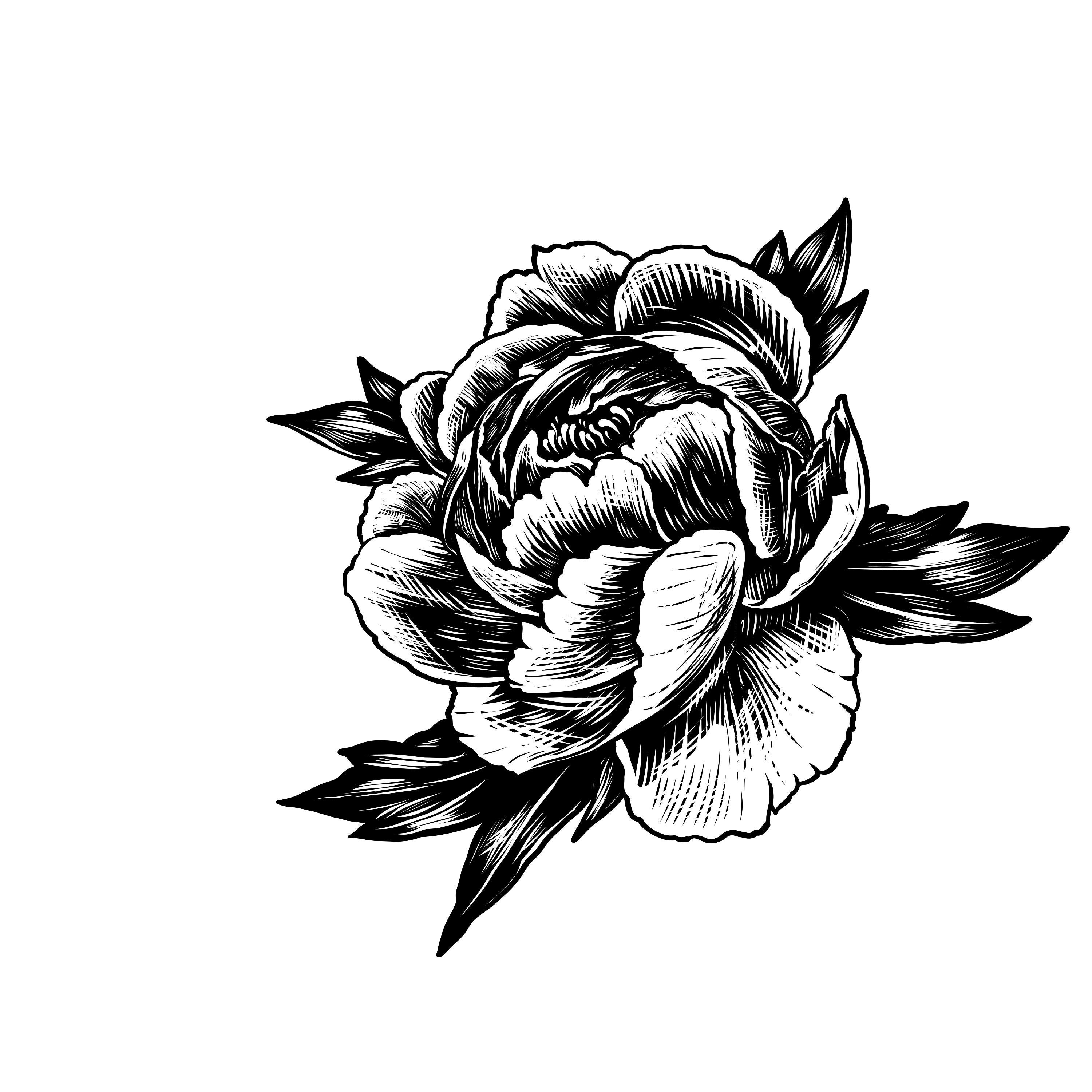 Japanese Flower Vector Design Ai, PDF, SVG, Jpg, EPS Tattoo, Etching ...