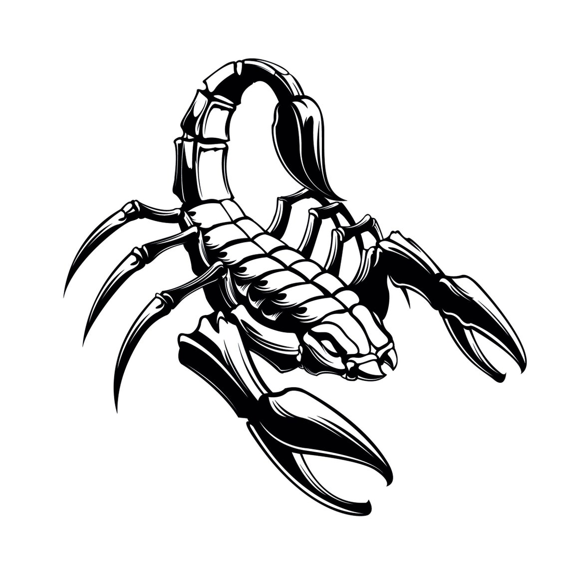 Scorpion Vector Image Ai, PDF, SVG, EPS, Jpg Etching, Woodcut, Tattoo ...