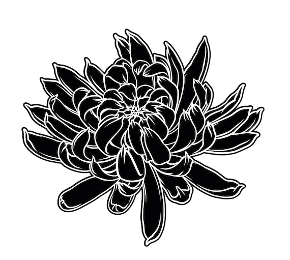 Japanese Flower Vector