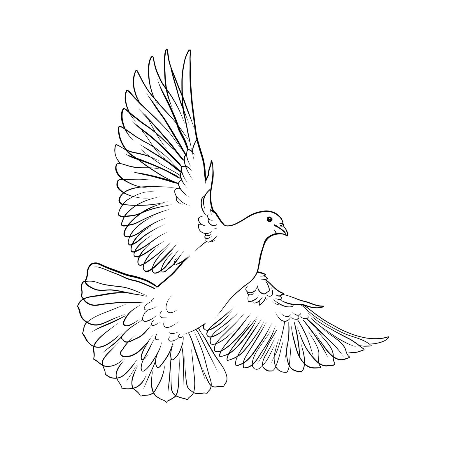 Dove ,pigeon, Vector Image Line Work Jpg, PDF, EPS, SVG, Ai - Etsy