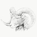 Muflon Head Vector Image Jpg, EPS, SVG, Ai, PDF - Etsy