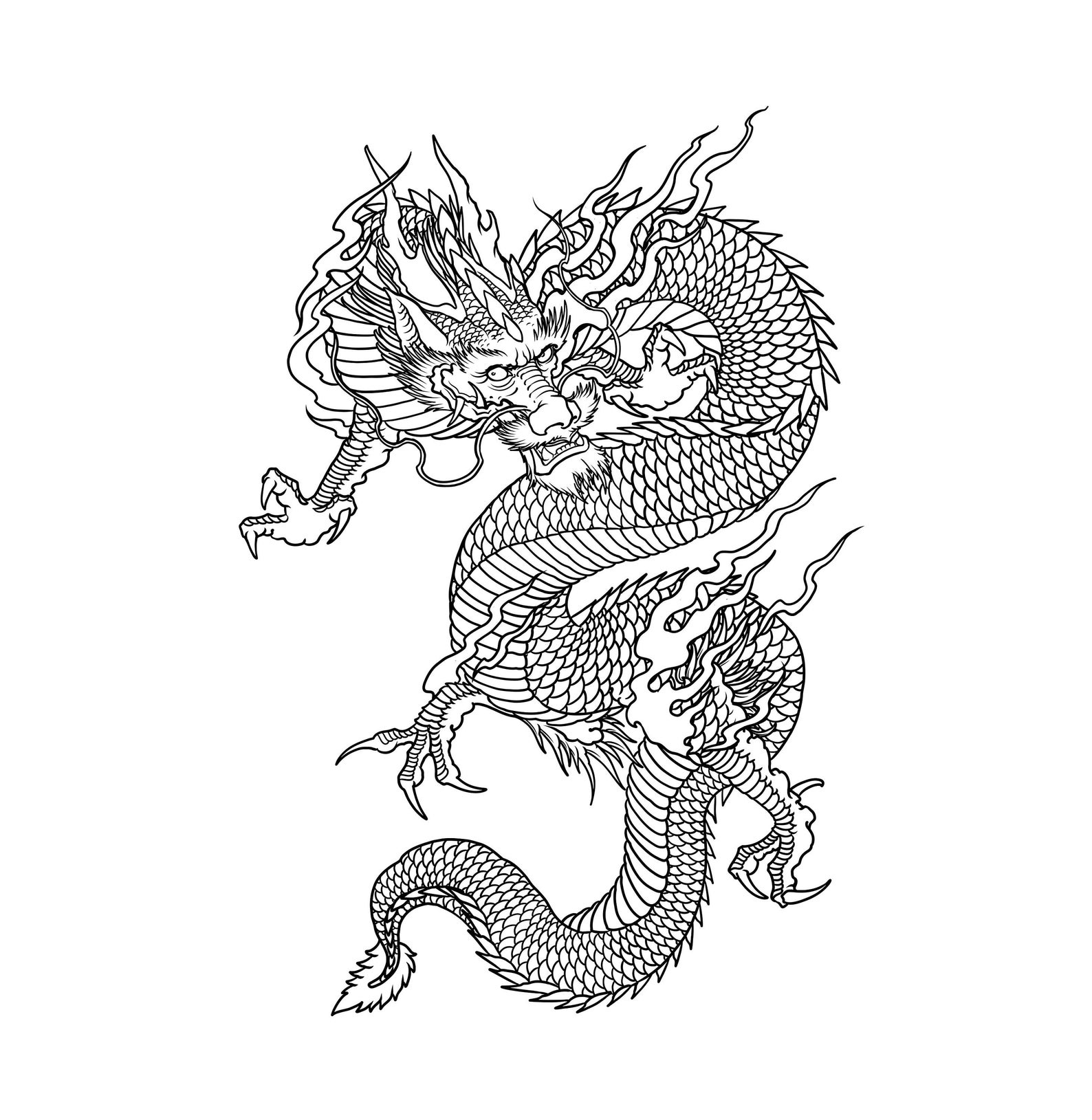 Japanese Dragon Vector Design, Tattoo,wallpaper, T-shirt Jpg, SVG, PDF ...