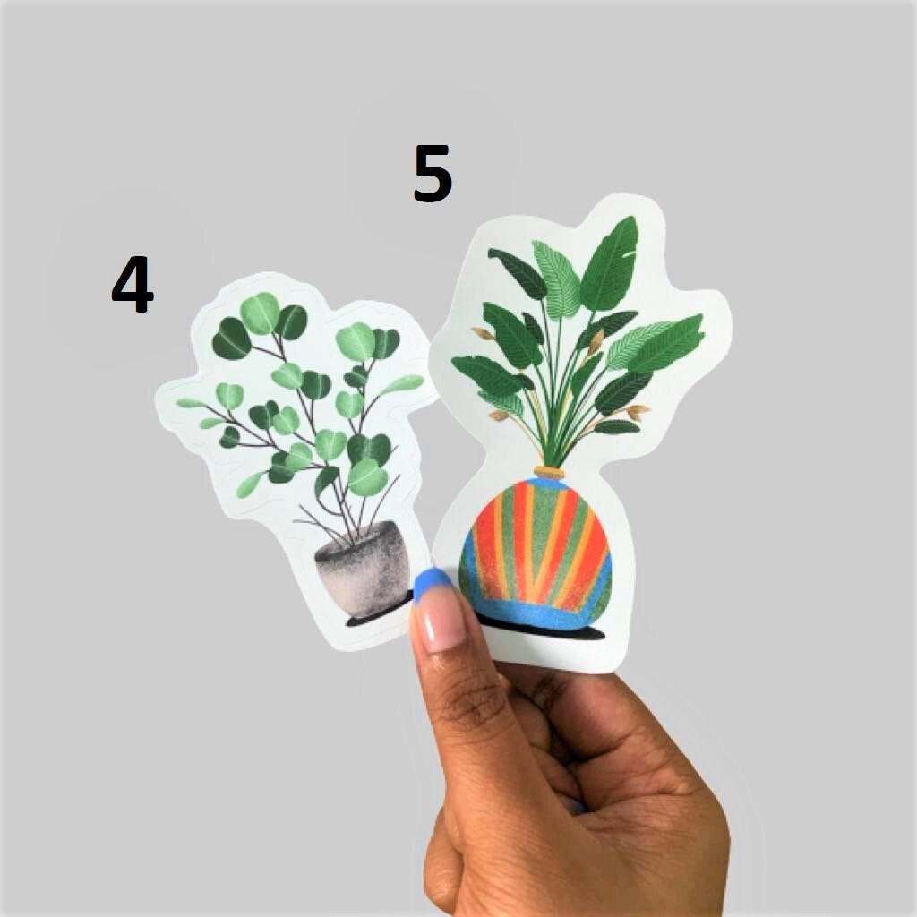 Matte Plant Sticker Vinyl Succulent Small House Plant Greenhouse Plant ...