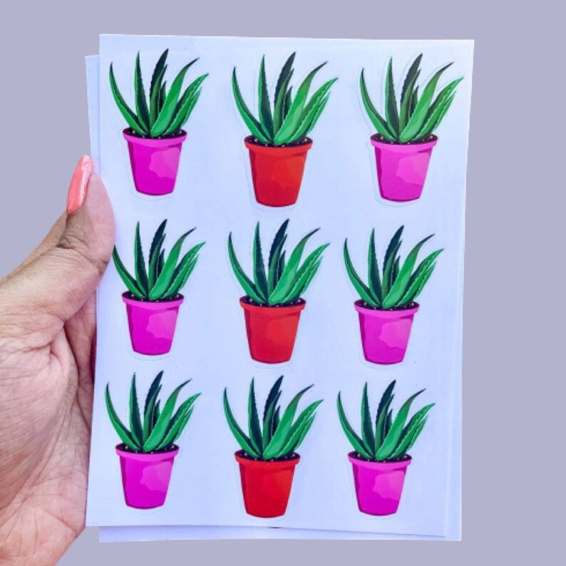 Matte Glossy Aloe Vera Plant Sticker Vinyl Succulent Small House Plant ...