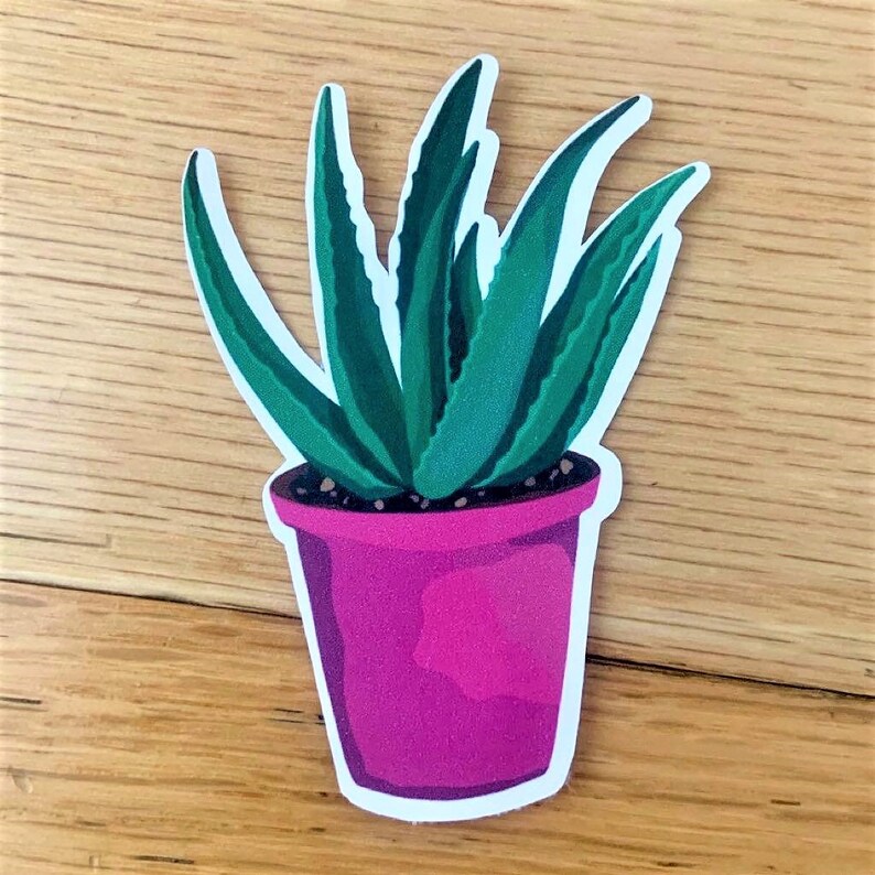 Matte Glossy Aloe Vera Plant Sticker Vinyl Succulent Small House Plant ...