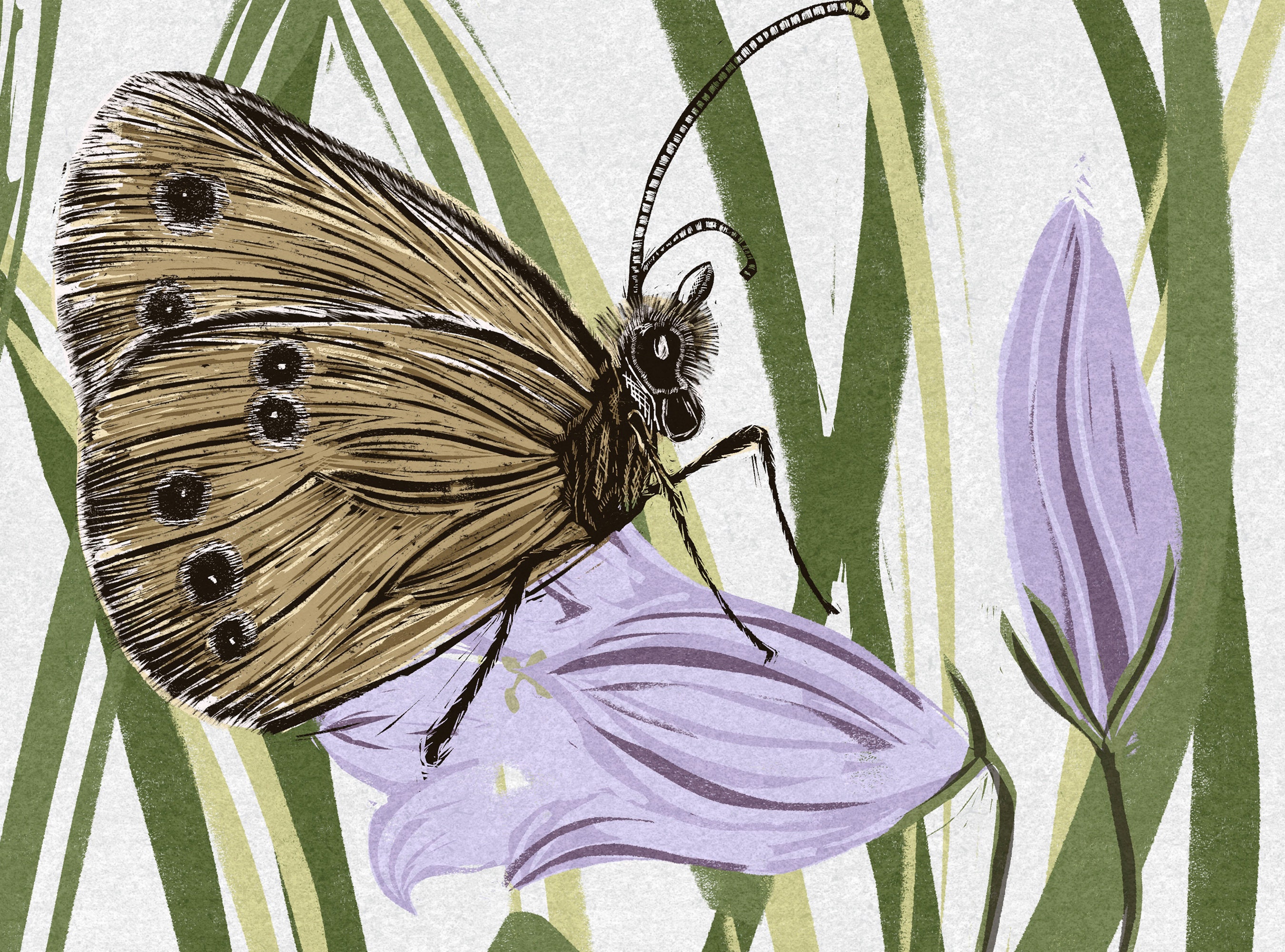 Procreate Lino Print Brushes / Digital Ink Texture / Block Printing on ...