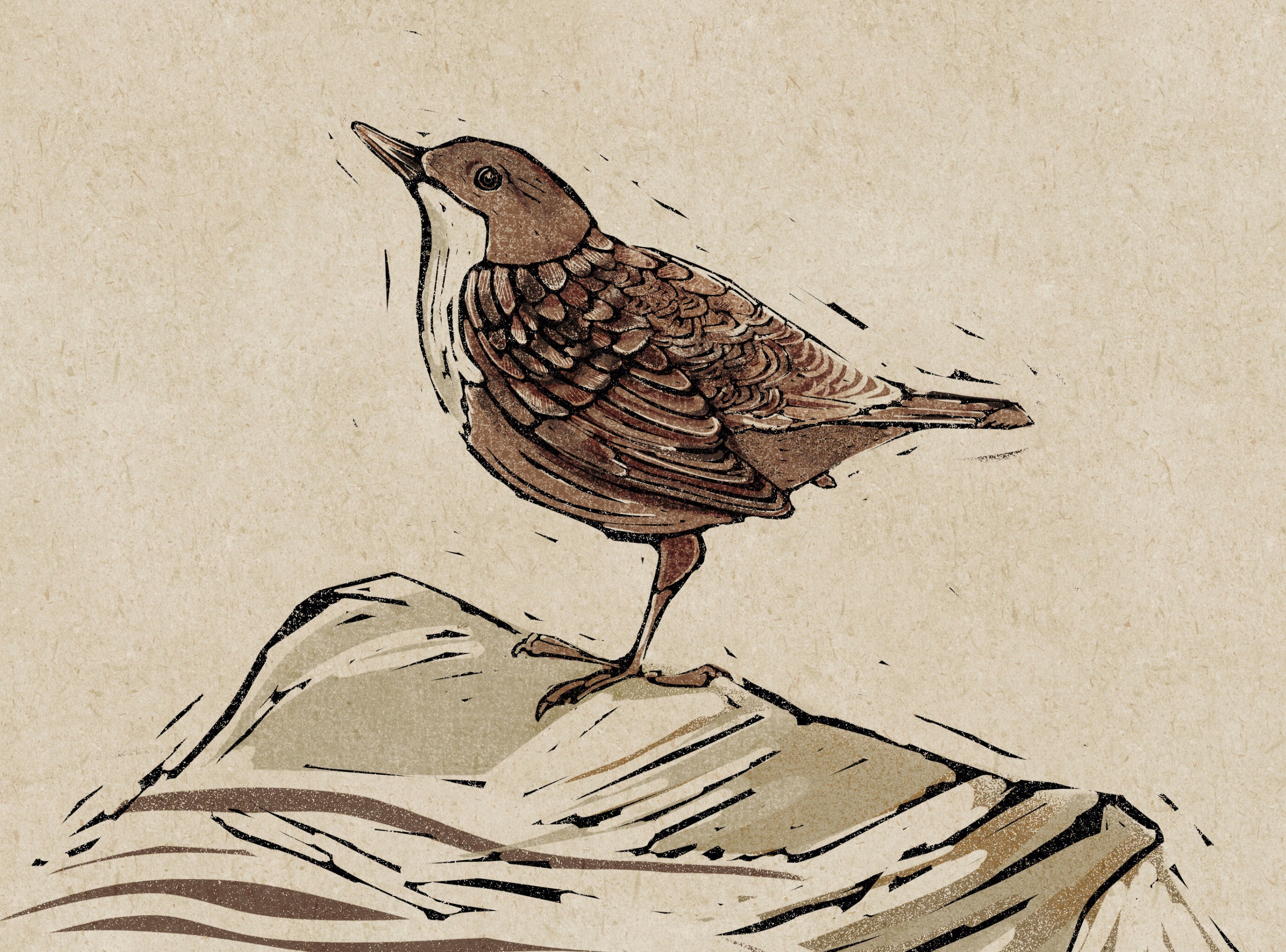 Procreate Lino Print Brushes / Digital Ink Texture / Block Printing on ...