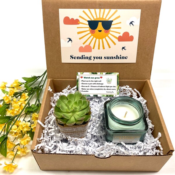 Sunshine Gift Box - 60+ Gift Ideas for 2023