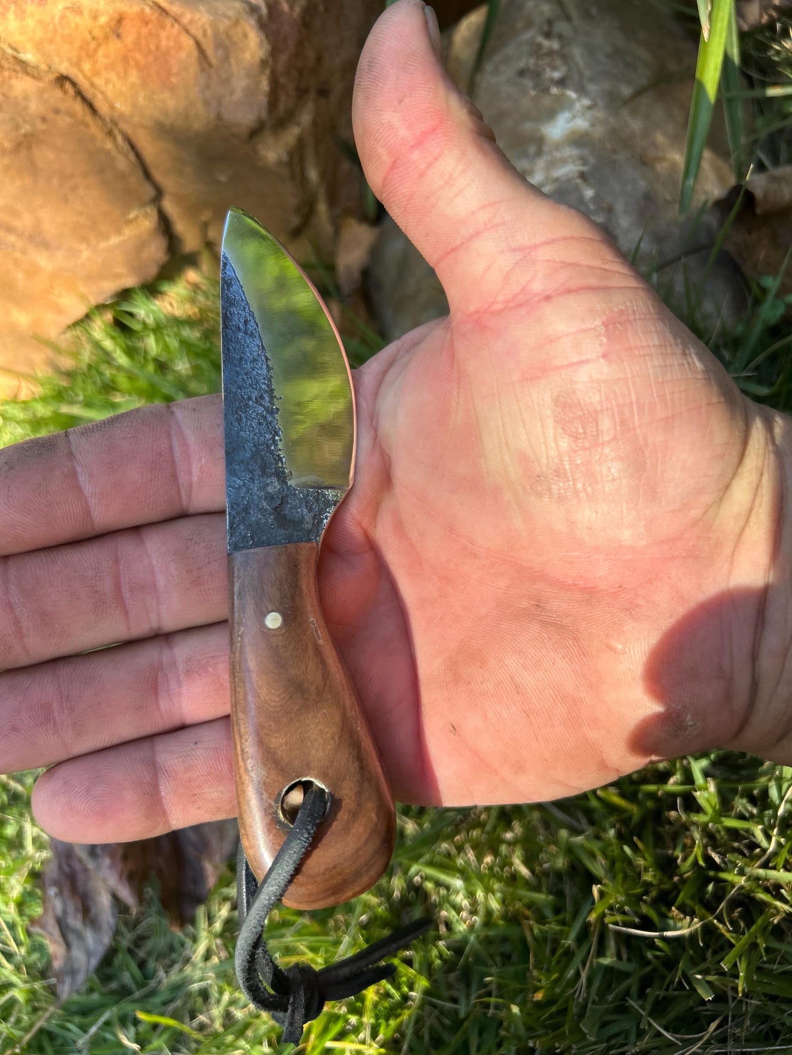 Walnut Bumblebee Knife - Etsy