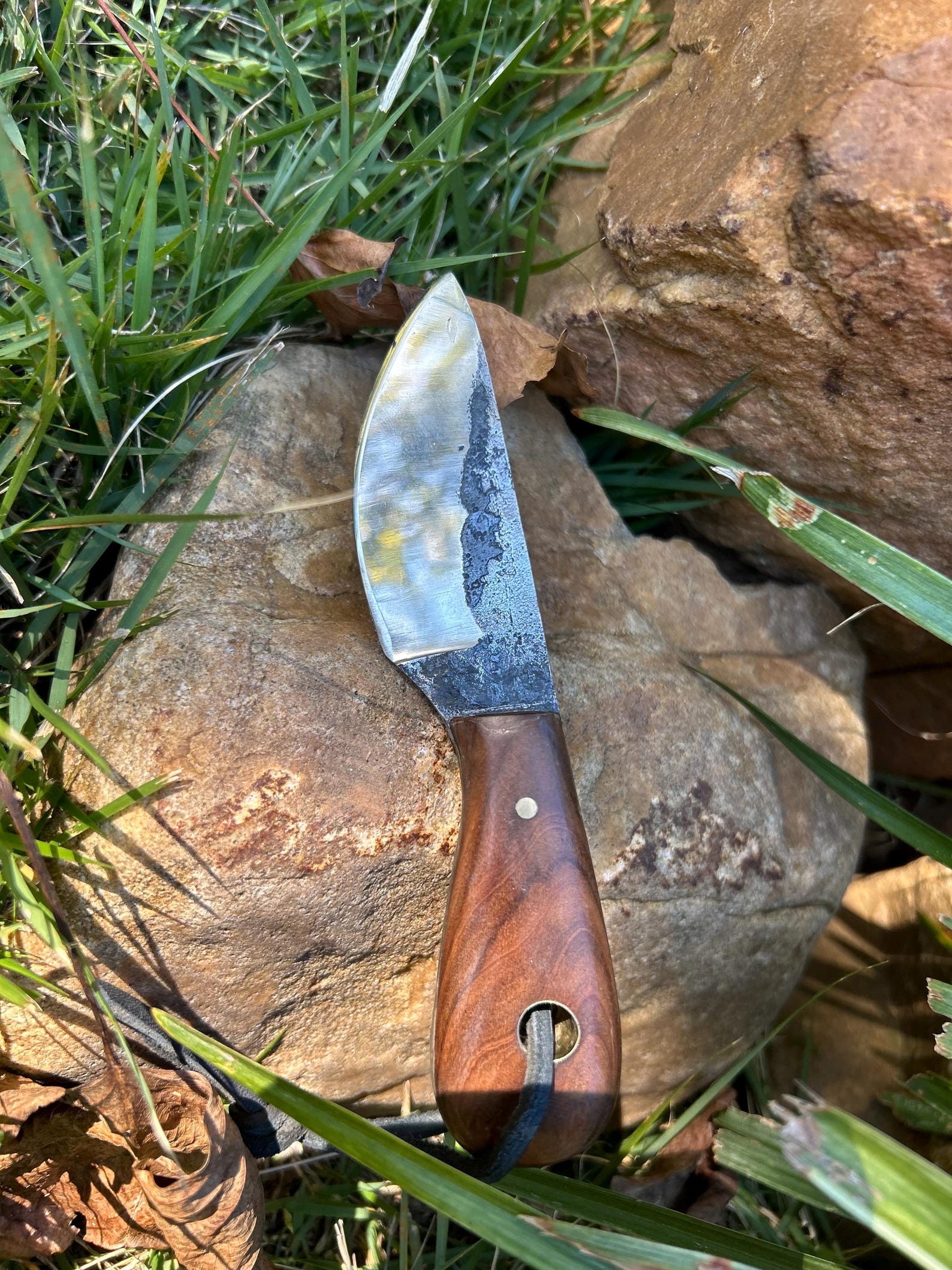 Walnut Bumblebee Knife - Etsy