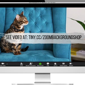 Zoom Cat Video Background I – High-quality Virtual Background for ...