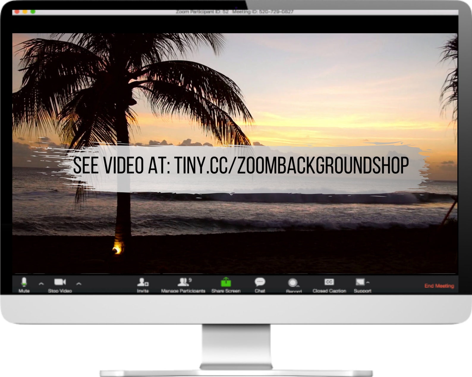 Zoom Beach Video Background II – High-quality Virtual Background for ...