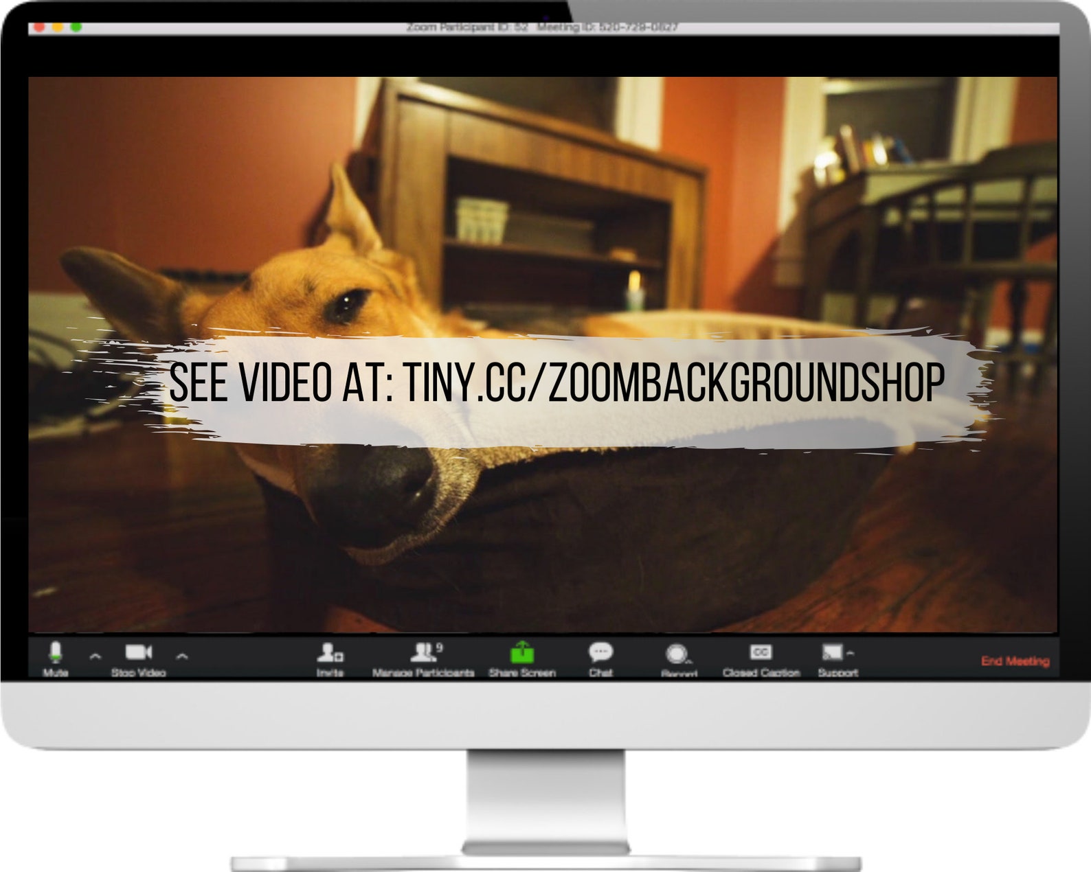 Zoom Dog Video Background II – High-quality Virtual Background for ...