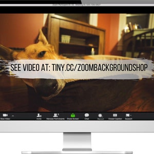 Zoom Dog Video Background II – High-quality Virtual Background for ...