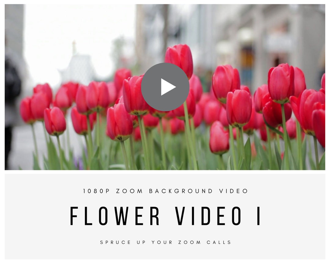Zoom Flower Video Background I – High-quality Virtual Background for ...