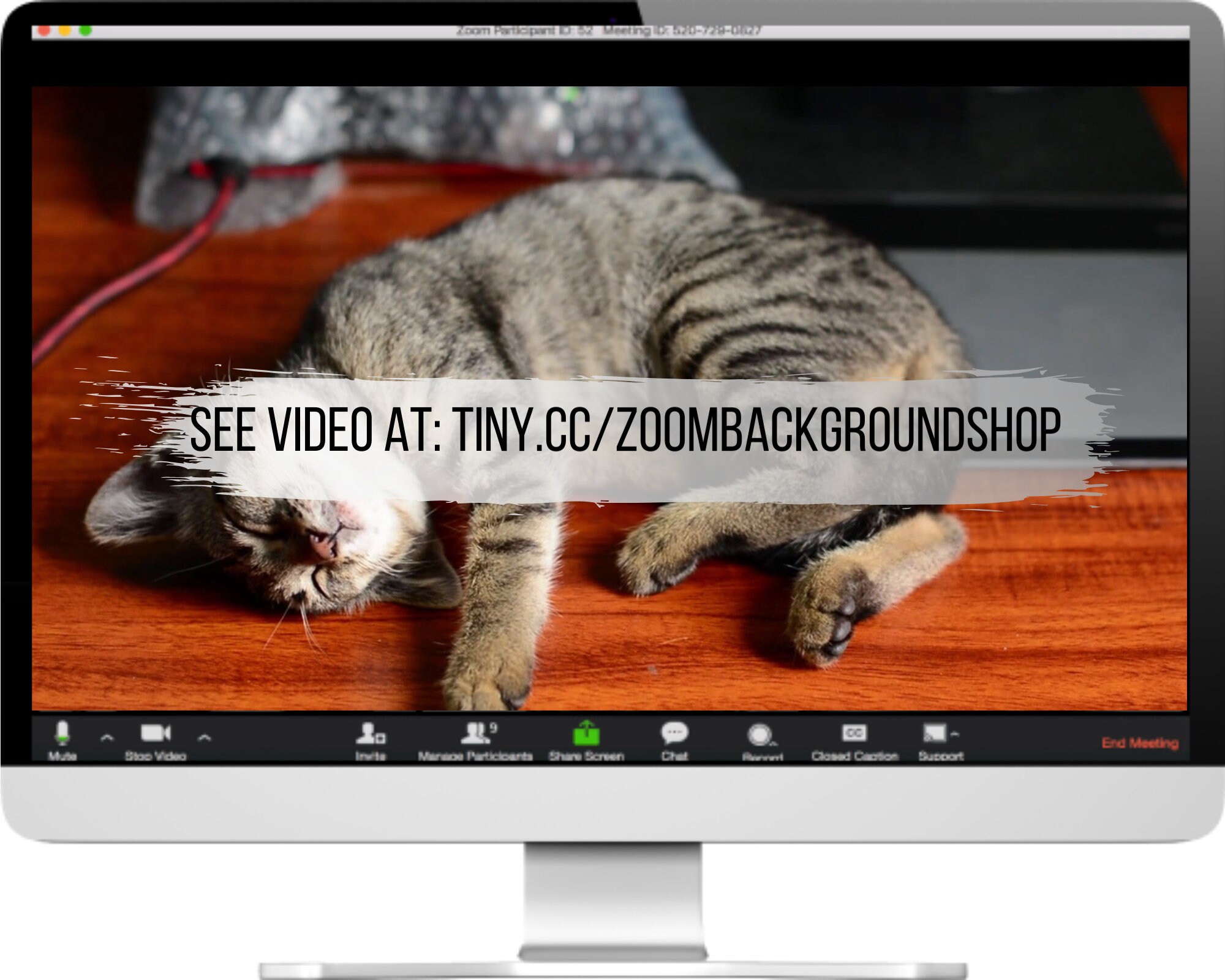 Zoom Cat Video Background II – High-quality Virtual Background for ...