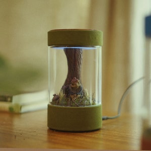 Diorama Lamp: Toad and Fireflies - Etsy