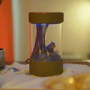 Diorama Lamp: Toad and Fireflies - Etsy