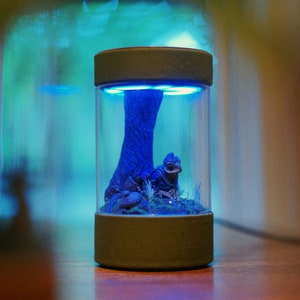 Diorama Lamp: Toad and Fireflies - Etsy
