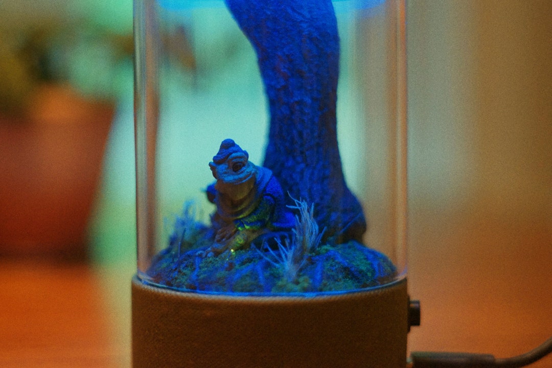 Diorama Lamp: Toad and Fireflies - Etsy