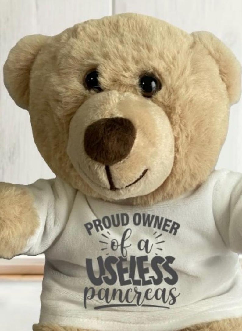Diabetic Gift, Pancreas Teddy Bear, Pancreas Surgey Gift, Funny ...
