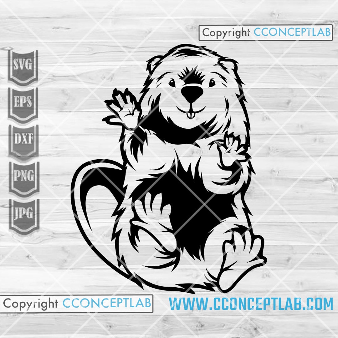 Beaver Svg | Swamp Animal Clipart | Woodland Stencil | Opossum Dxf ...