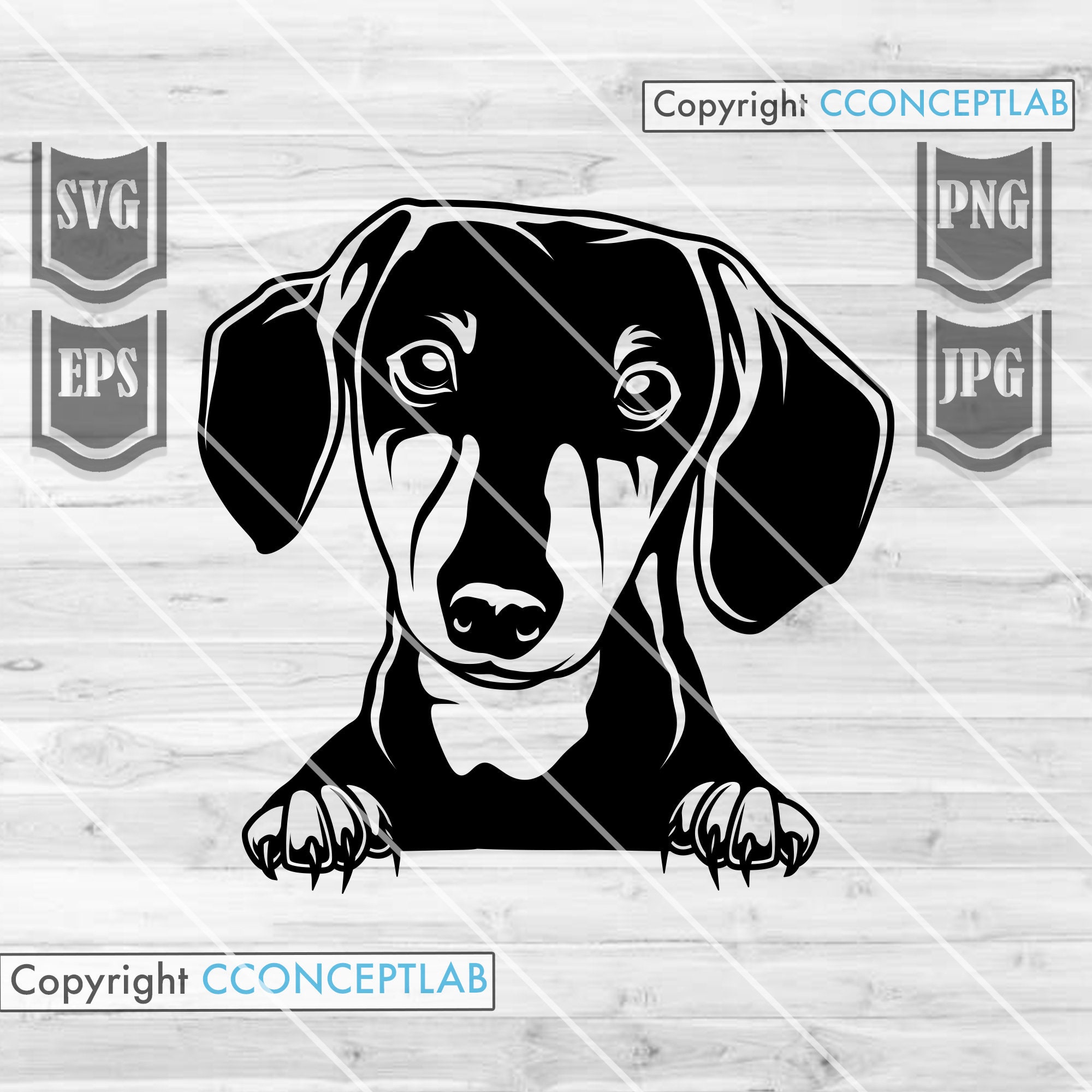 Drawing & Illustration Art & Collectibles Dachshund Clipart Bundle Dog ...