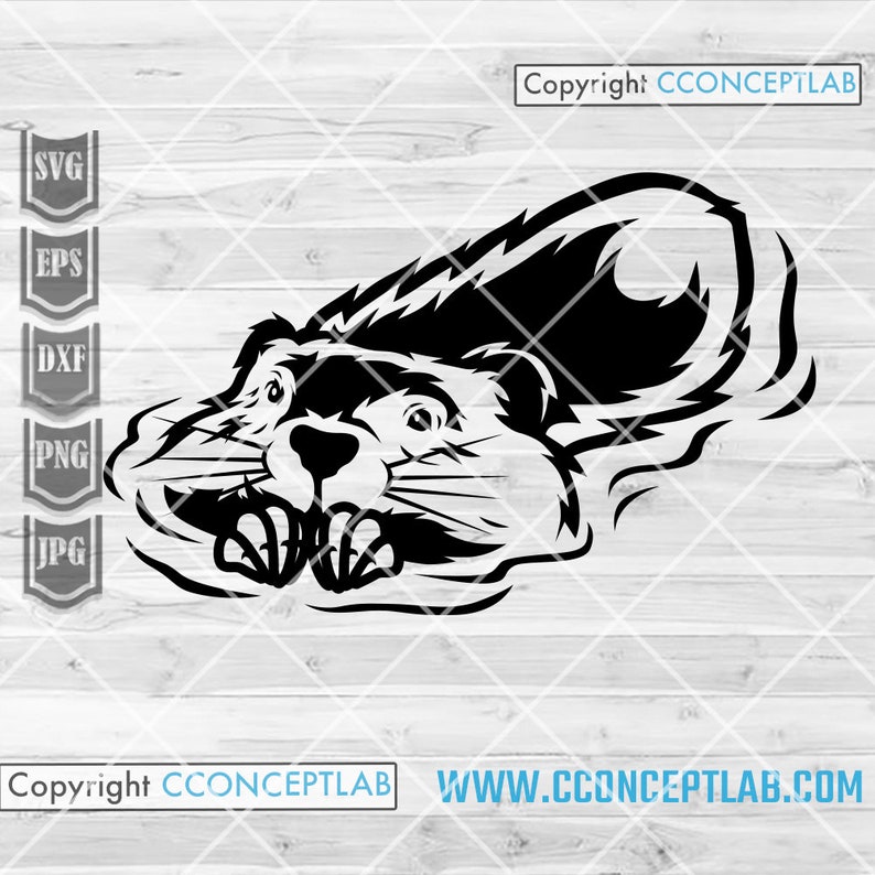 Beaver Swimming Svg Swamp Animal Clipart Woodland Clipart - Etsy