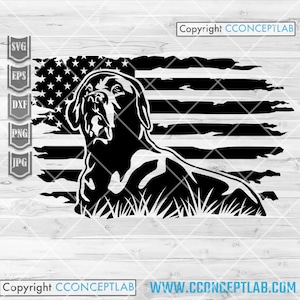 US Black Labrador Svg | USA Service Canine Dog Clipart | K9 Police ...