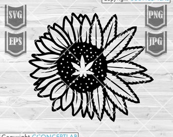 Sunflower Kush Svg | Etsy