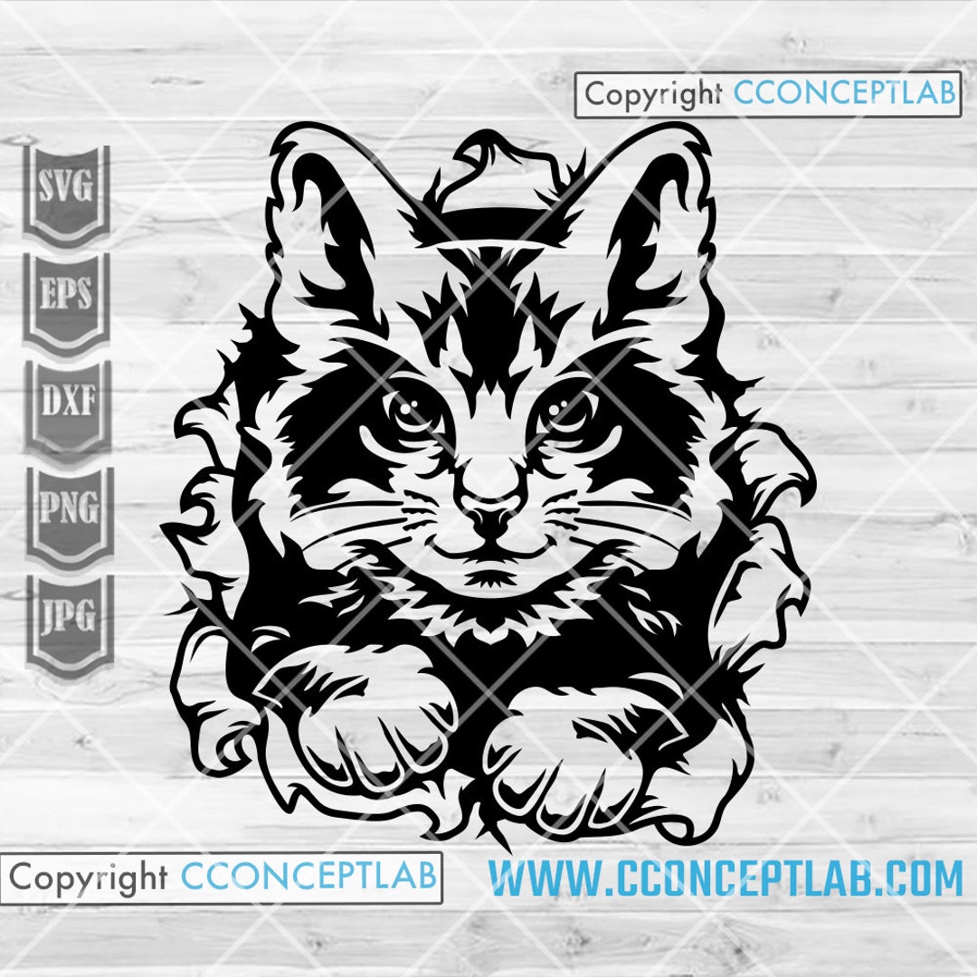 Cat Svg | Cute Animal Clipart | Catto Lover Cutfile | Tear off Kitten ...