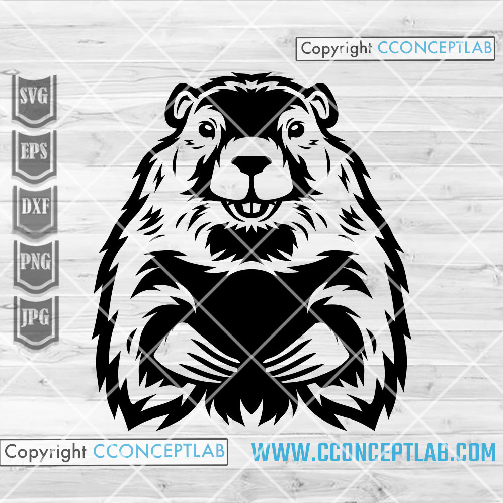 Beaver Svg Cute Swamp Animal Clipart Woodland Clipart - Etsy