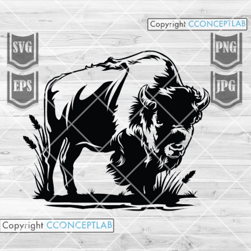 Buffalo Svg - Etsy