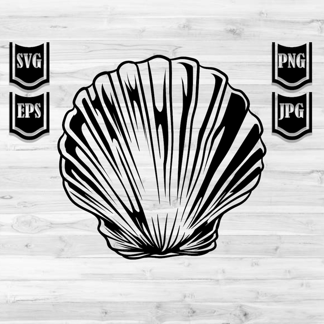 Sea Shell Illustration | Shell Svg | Shell Jpg | Shell Png - Etsy