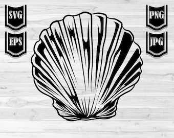 Shell Line Art Digital Clipart Shell Line Drawing Shell Svg - Etsy