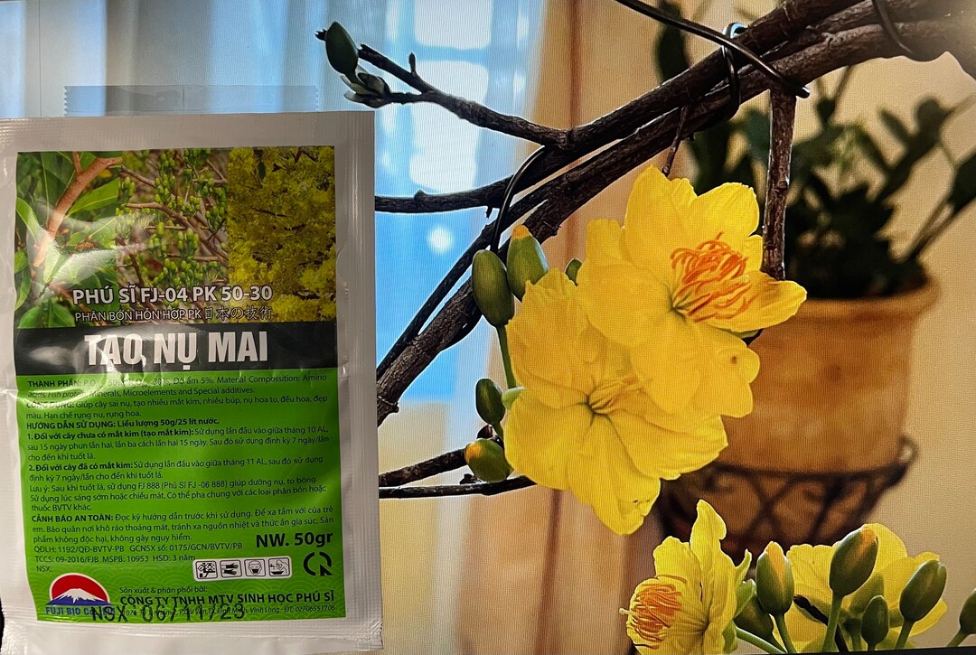 Tạo Nụ Cho Hoa Mai Blooming Fertilizer for Yellow Apricot Flowers - Etsy