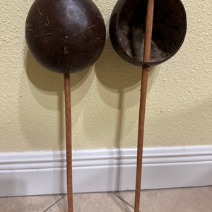 Gáo Dừa Múc Nước Coconut Shell Water Ladles/scoops - Etsy