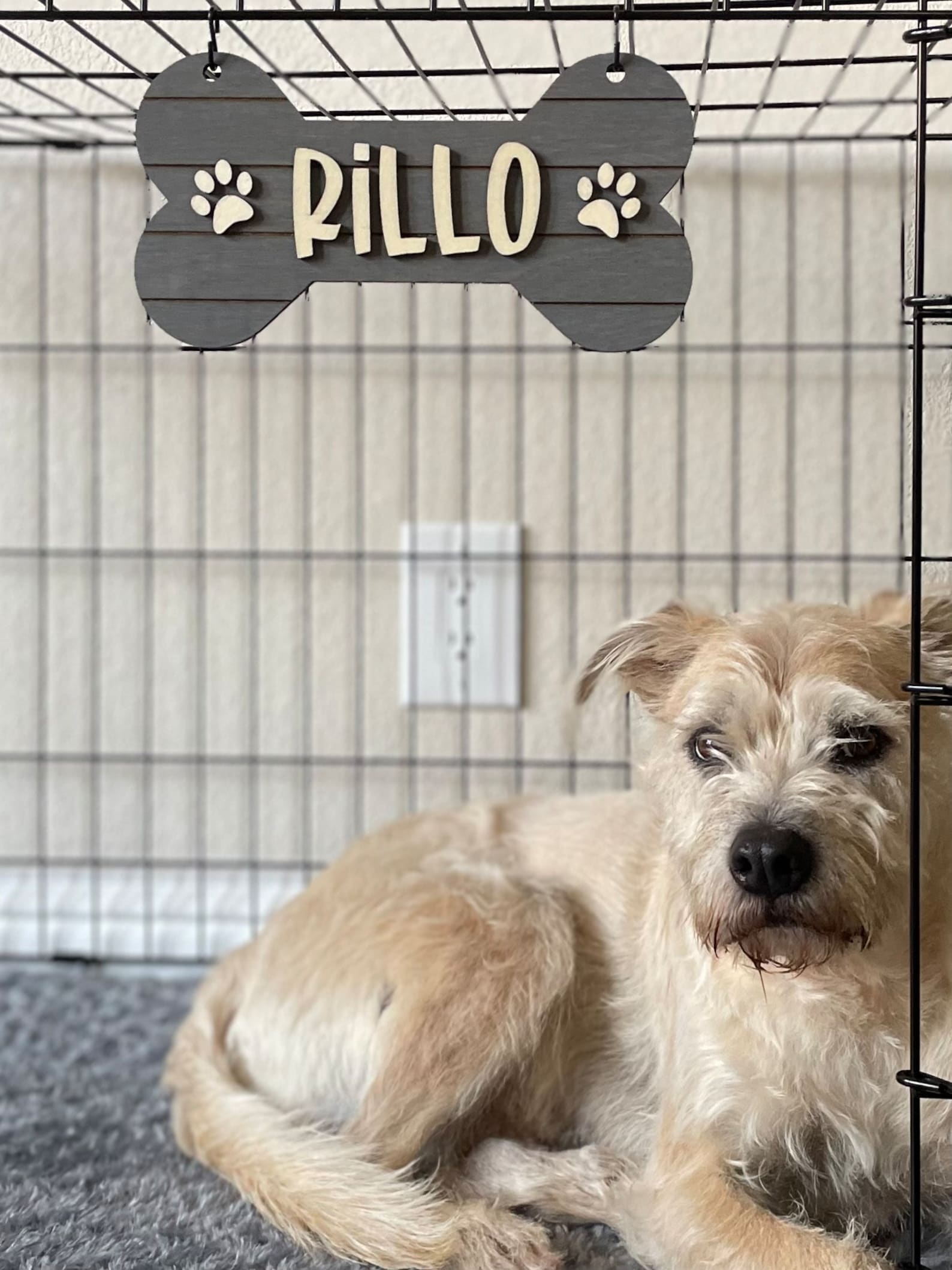 Personalized Wood Crate Sign /personalized Pet Gift / Custom Pet Name ...