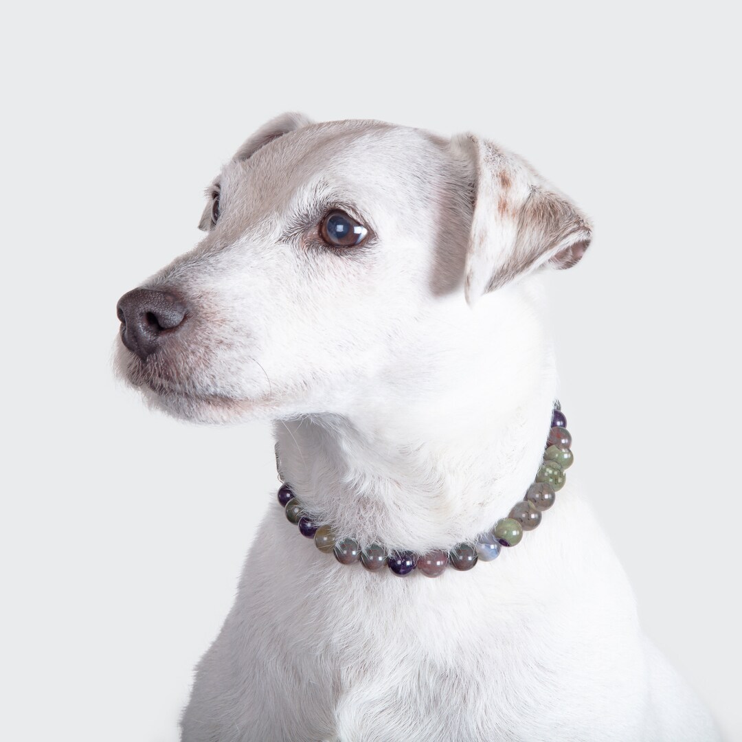 Lithotherapy Dog Collar Anti Anxiety, Agate - Etsy